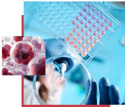 Find the talent you need | EPM Scientific