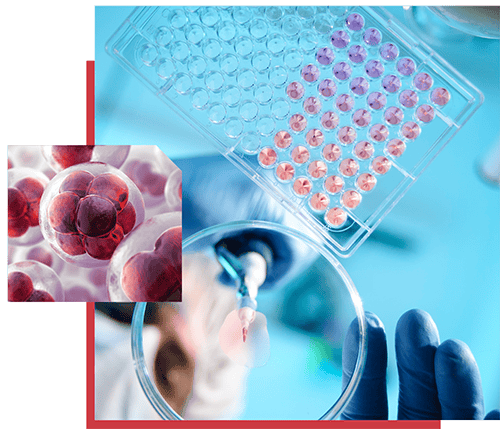 Find the talent you need | EPM Scientific